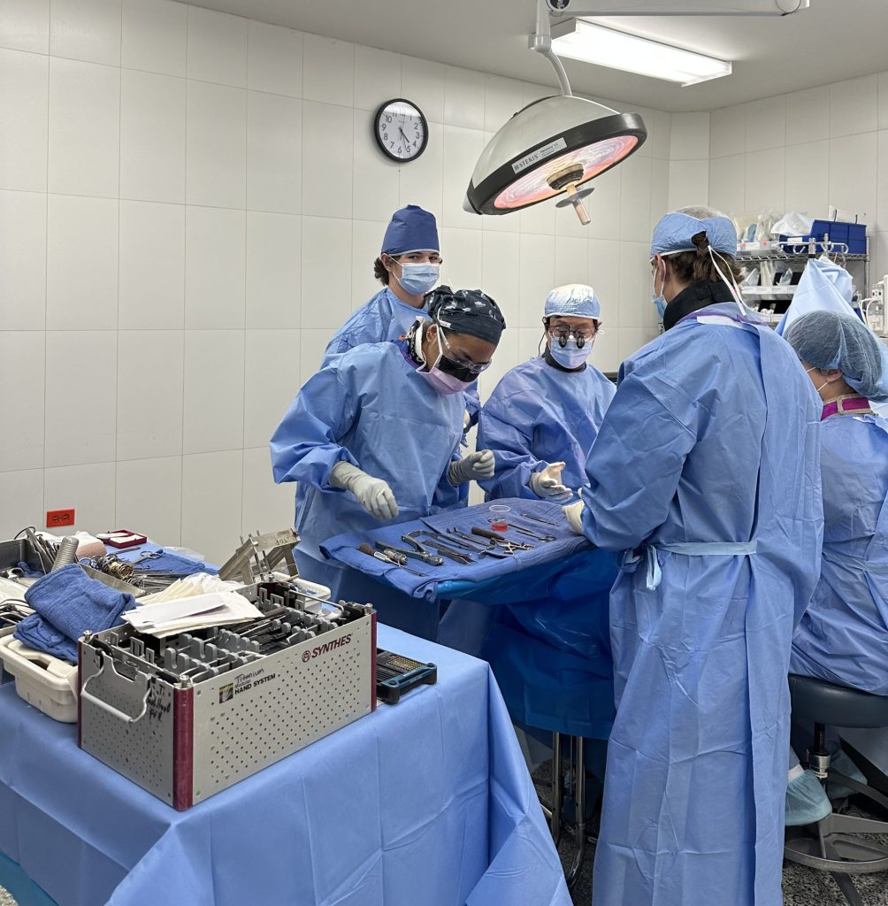 Mission Calendar - One World Surgery