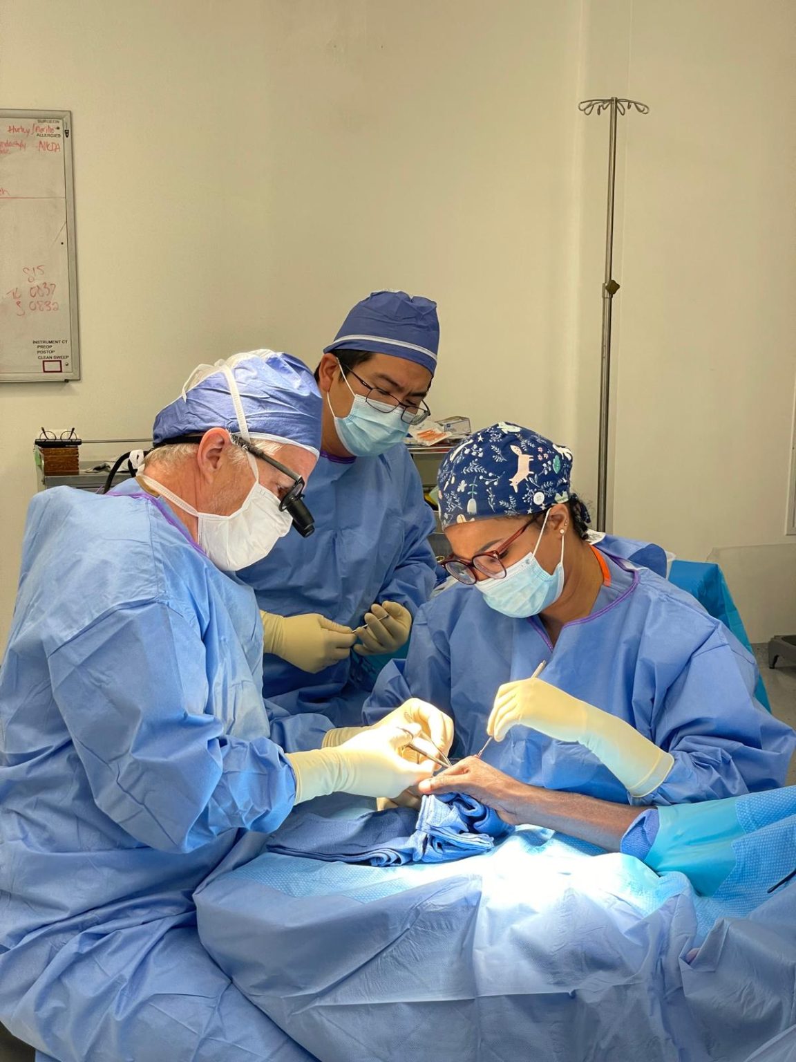 A Historic Milestone for Healthcare: First Surgeries at One World ...